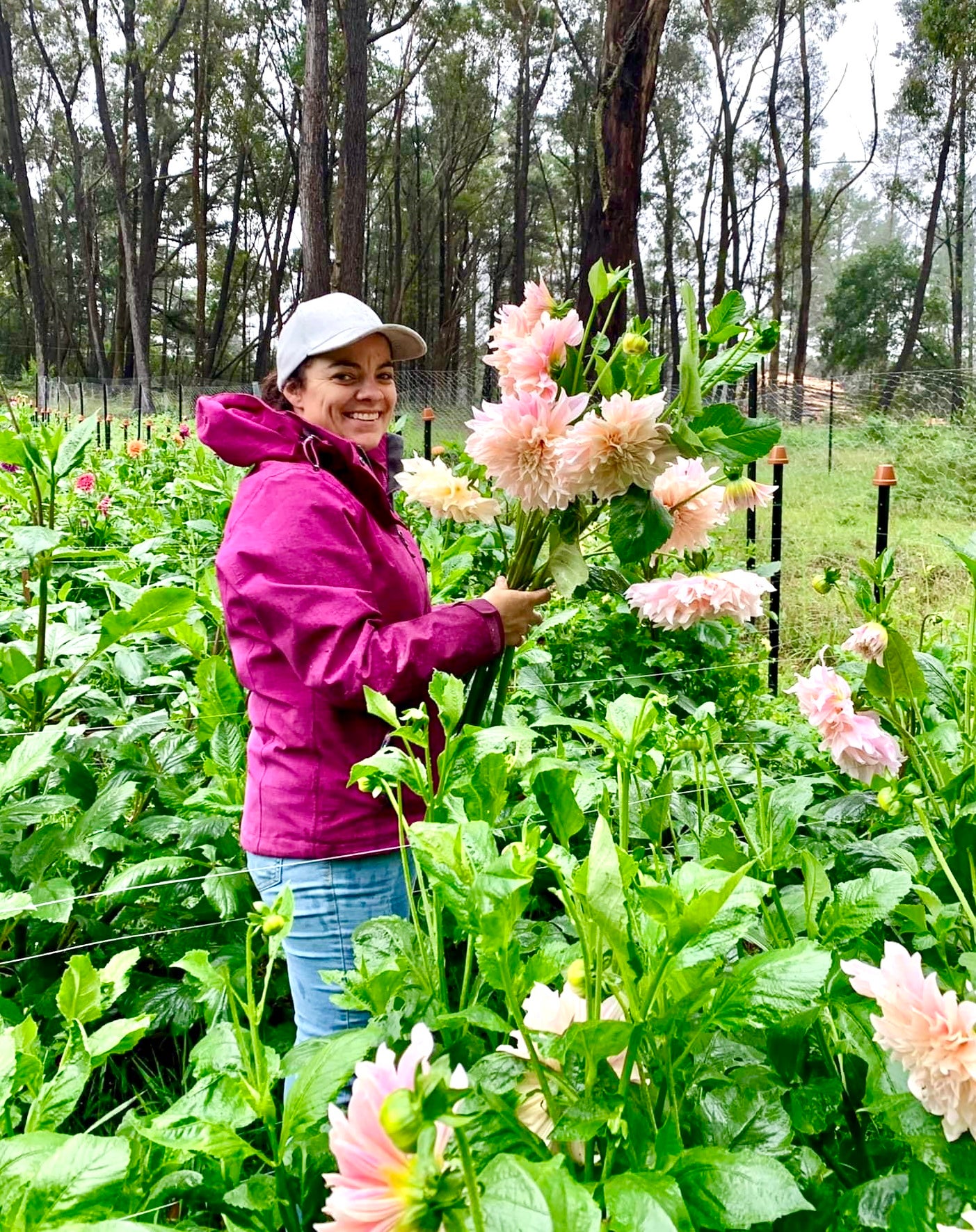 Small Flower Farm Australia | Best Flower Site